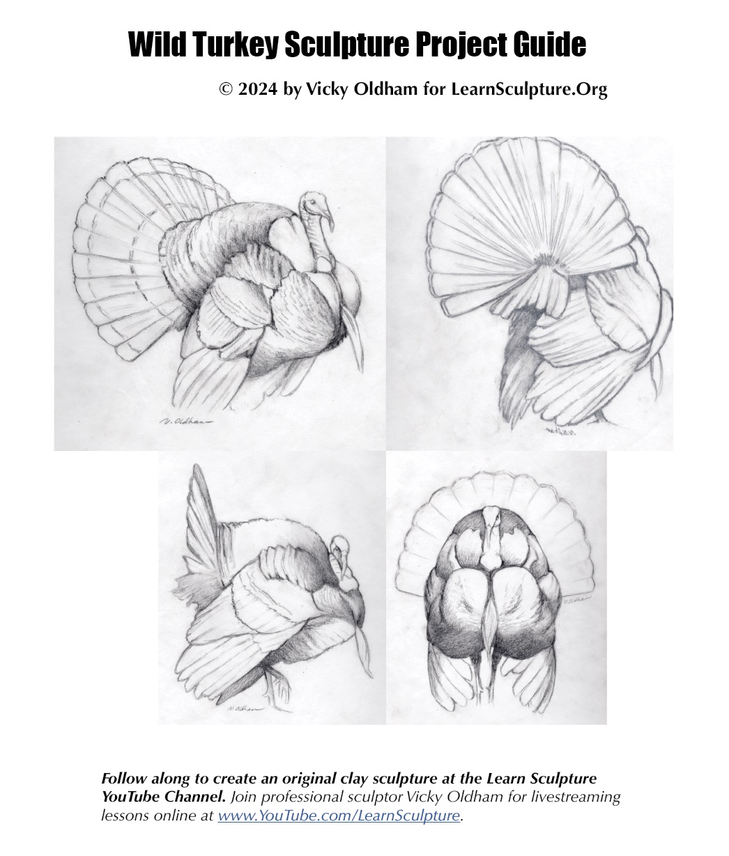 Learn Sculpture Guides – Learn Sculpture!